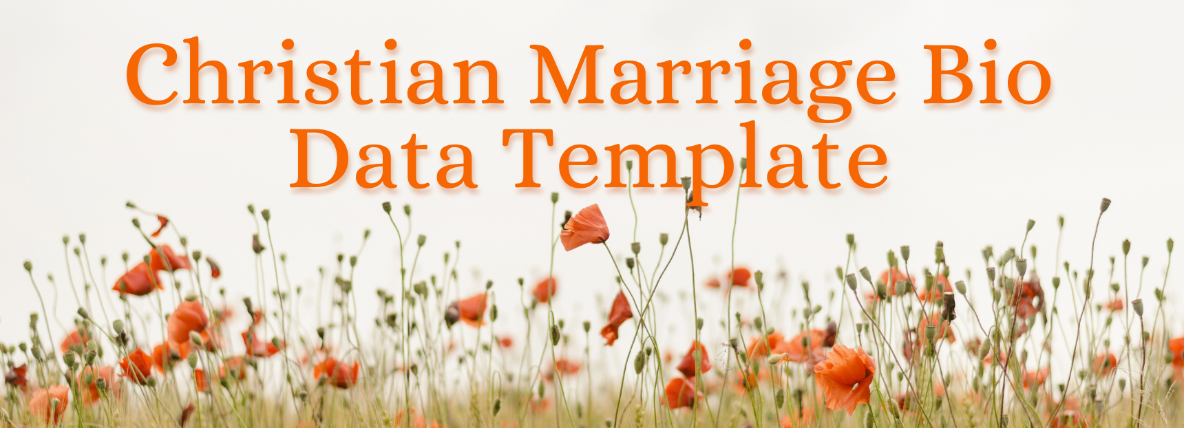 Christian / Catholic Marriage Biodata Templates (Free Formats & PDF ...